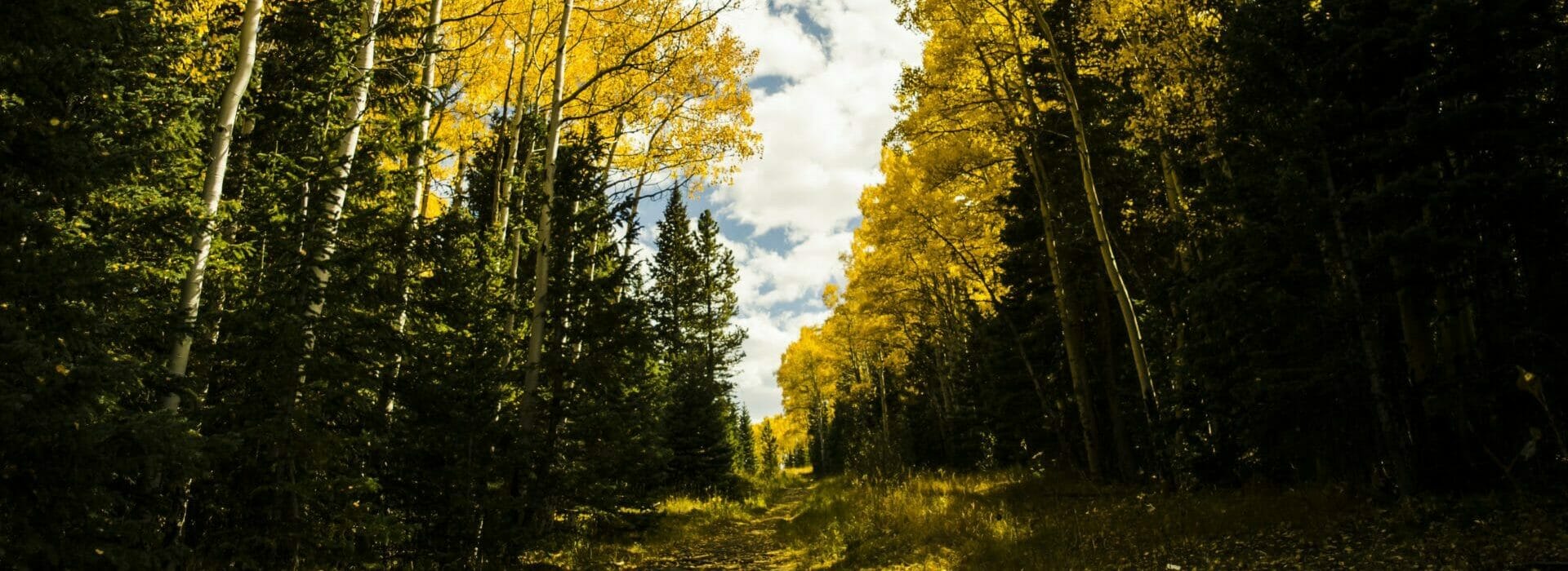 Lost Adventures - Alexis Faere