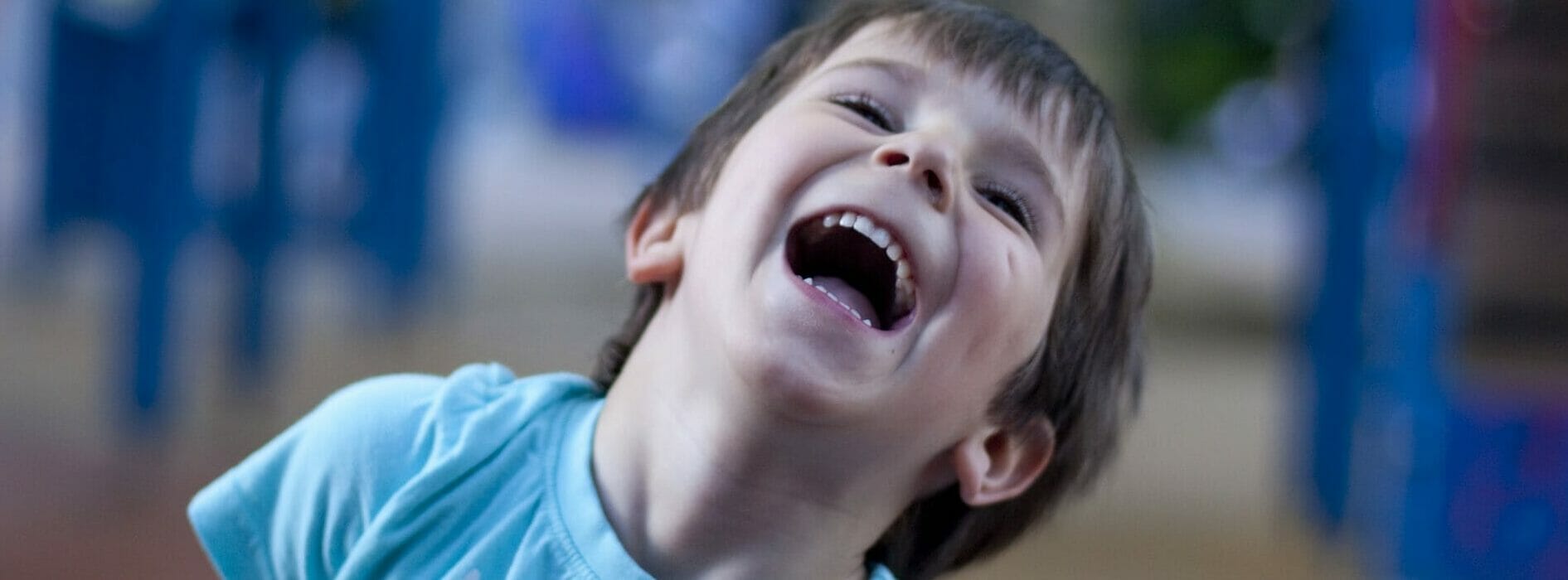 Finding Laughter in Life - Alexis Faere