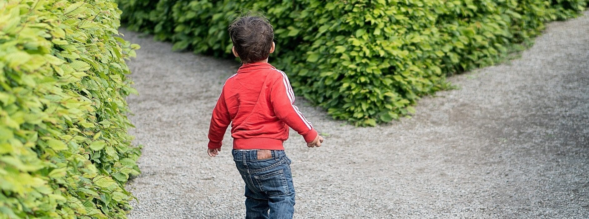 Just a Person Navigating this World - Alexis Faere